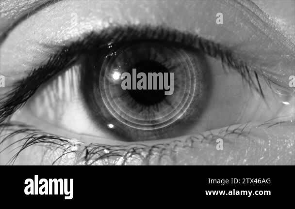 Human Eye Scan Technology Interface Animation. Close-up of high tech ...