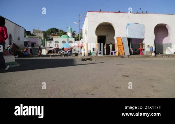 Harar ethiopia house Stock Videos & Footage - HD and 4K Video Clips - Alamy