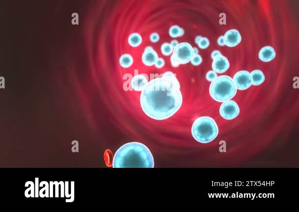 virus attack the leukocyte, within vessel, blood cells and leukocyte, streaming blood, High ...