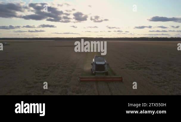 Grain platform Stock Videos & Footage - HD and 4K Video Clips - Alamy
