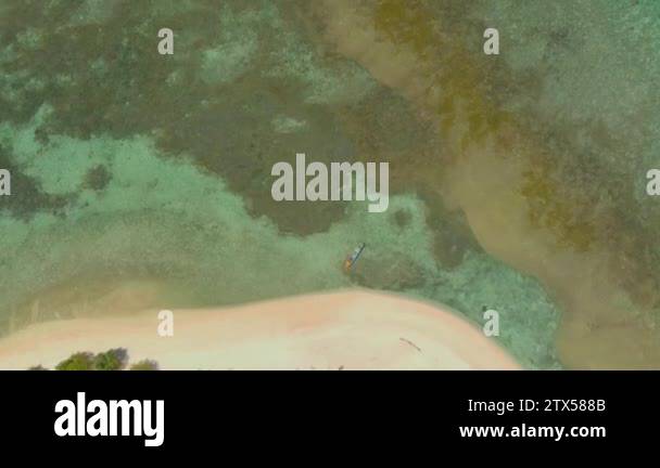 Tropical island with white sandy beach and coral reefs. Aerial seascape ...
