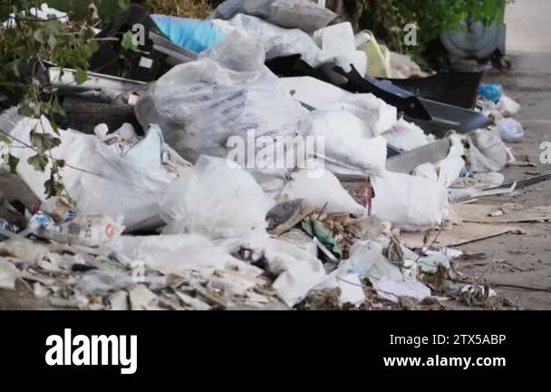 on ground, on side of road, lots of garbage is lying. scattered trash ...