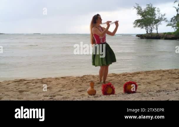 Hawaii hula dancer in costume dancing at island 4k Stock Video Footage ...