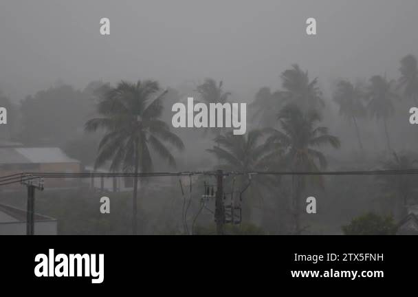 Very strong summer storm with close to hurricane force winds. Heavy ...