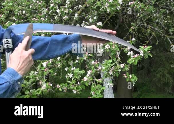 Scythe tool Stock Videos & Footage - HD and 4K Video Clips - Alamy