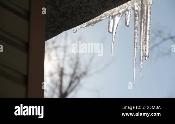 Intensive sun Stock Videos & Footage - HD and 4K Video Clips - Alamy