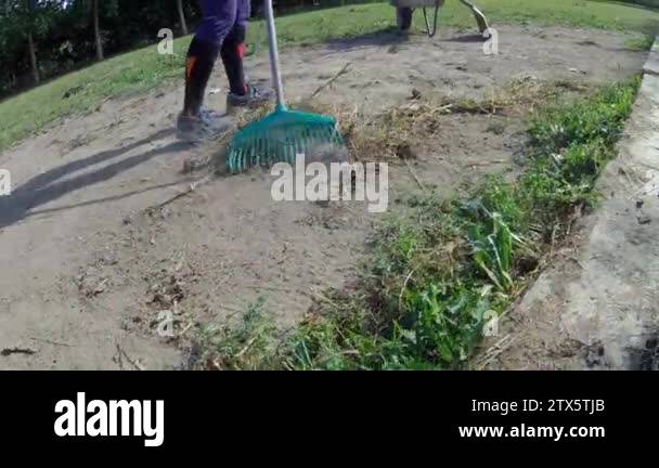 Farmer woman put horse excrements on a trolley. Ranch cowgirl work ...