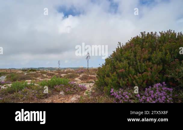 Boschetto gardens Stock Videos & Footage - HD and 4K Video Clips - Alamy