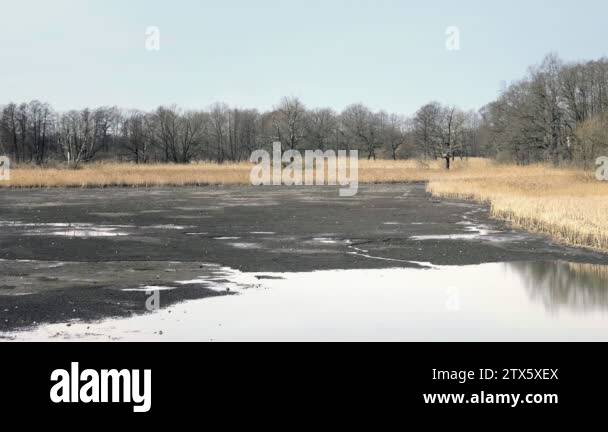 Freshwater shells Stock Videos & Footage - HD and 4K Video Clips - Alamy