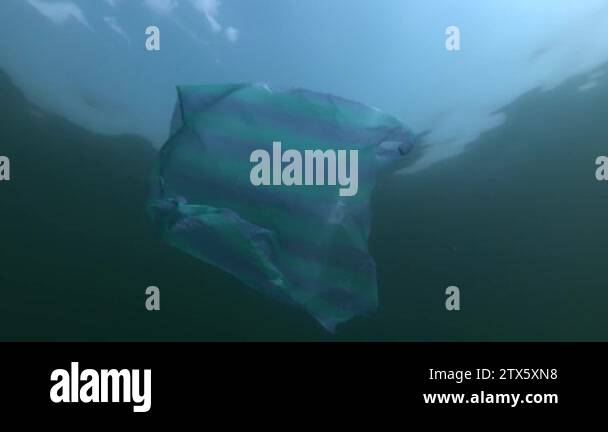 Plastic pollution, striped blue bag swims underwater surface in sunray ...