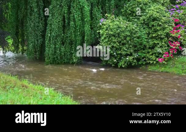 Murky river flow Stock Videos & Footage - HD and 4K Video Clips - Alamy