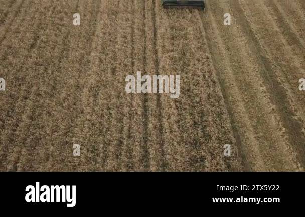 Grain combine cleaning Stock Videos & Footage - HD and 4K Video Clips ...