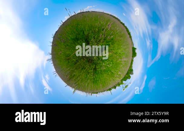 Spherical plants Stock Videos & Footage - HD and 4K Video Clips - Alamy