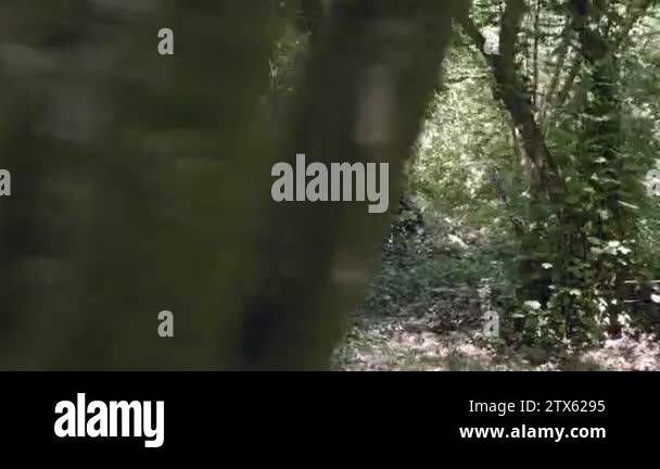 Escape fear Stock Videos & Footage - HD and 4K Video Clips - Alamy