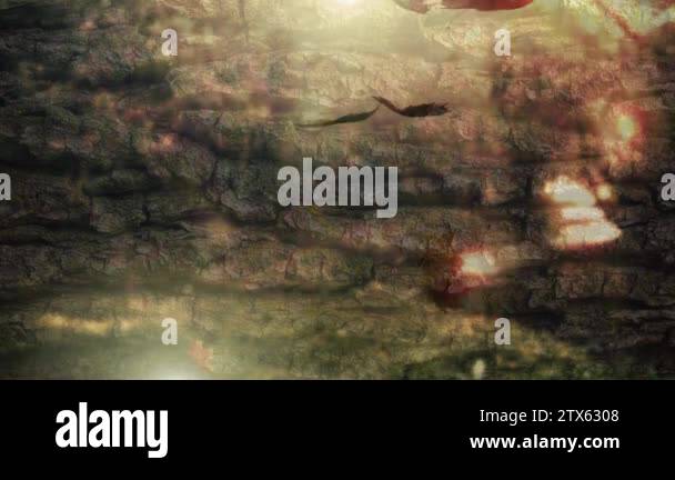 Composite rock Stock Videos & Footage - HD and 4K Video Clips - Alamy