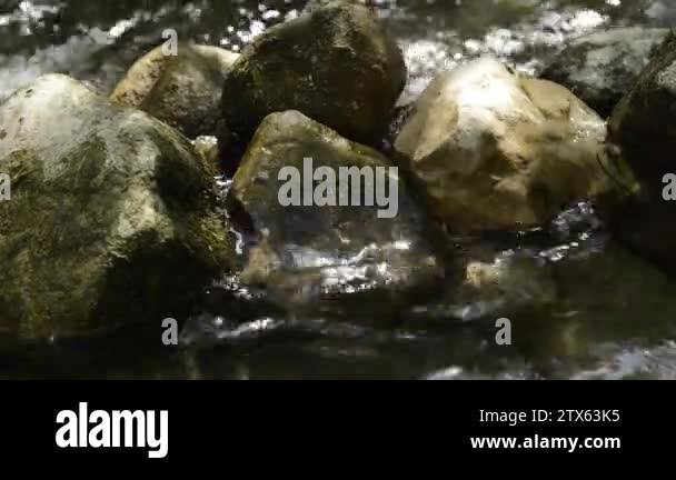 Clean and fresh water from a small river flowing between rocks and ...