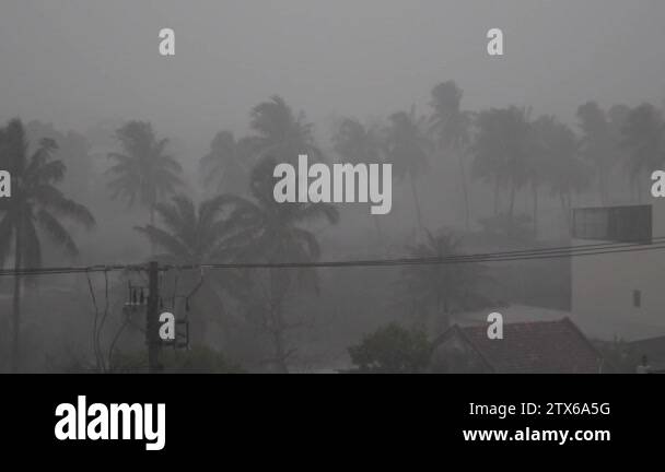 Very strong summer storm with close to hurricane force winds. Heavy ...