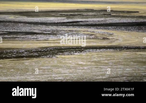 Algal bloom water surface of river and drift with flow Stock Video ...