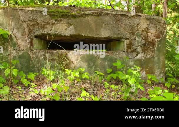 Military bunker Stock Videos & Footage - HD and 4K Video Clips - Alamy