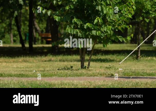 Female back blind Stock Videos & Footage - HD and 4K Video Clips - Alamy