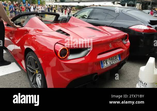 Spider rear view Stock Videos & Footage - HD and 4K Video Clips - Alamy