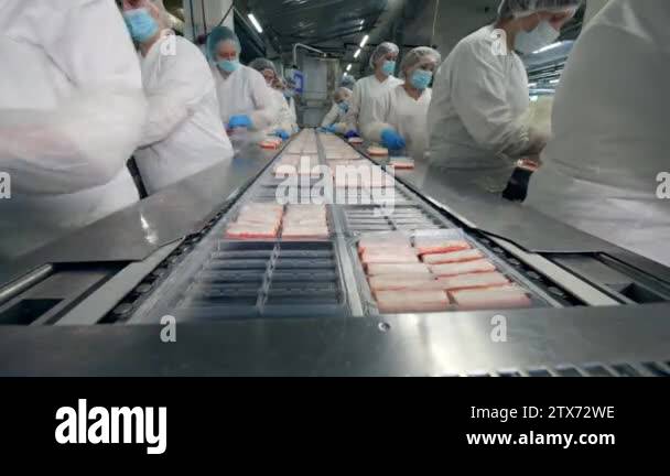 Food factory workers pack food into containers on a conveyor Stock ...