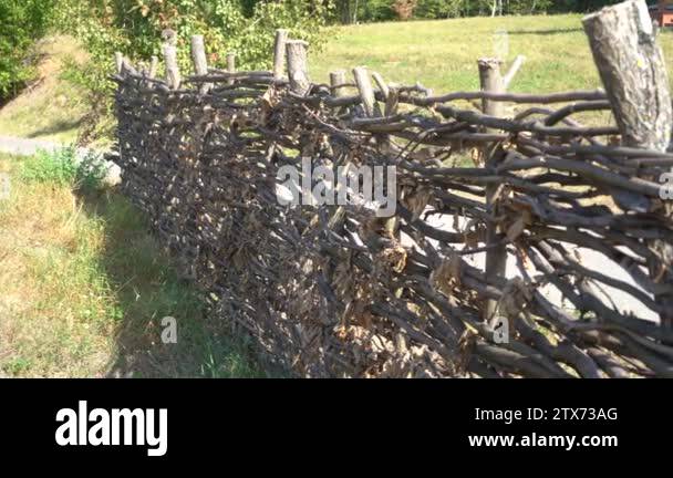 Fence tree branches Stock Videos & Footage - HD and 4K Video Clips - Alamy