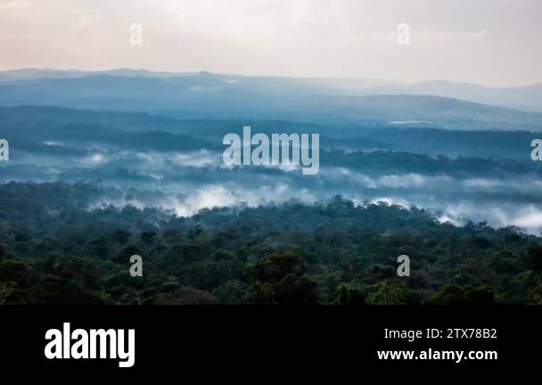 Thailand environmental issues Stock Videos & Footage - HD and 4K Video ...