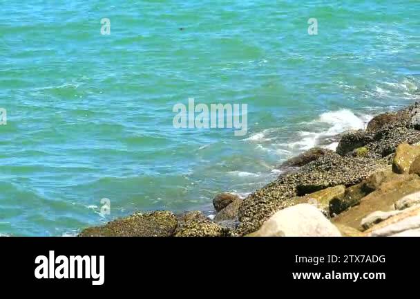 breakwater made by granite stone to protect wave storm surge and bouy ...