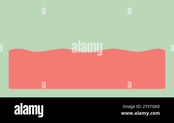 yellow to white tooth, teeth whitening concept - dental cartoon vector ...