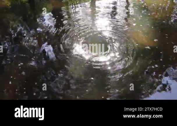 Churning the water Stock Videos & Footage - HD and 4K Video Clips - Alamy