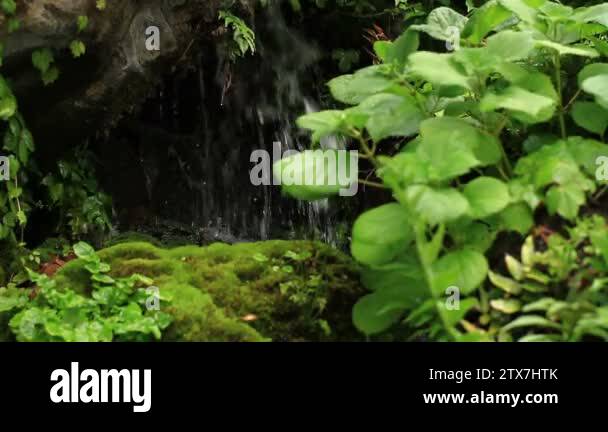 Kanda tokyo Stock Videos & Footage - HD and 4K Video Clips - Alamy