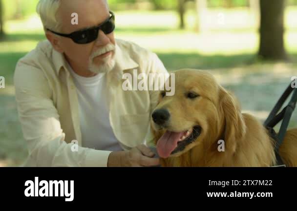 Blind owner feeding and petting his guide dog, best friend and ...
