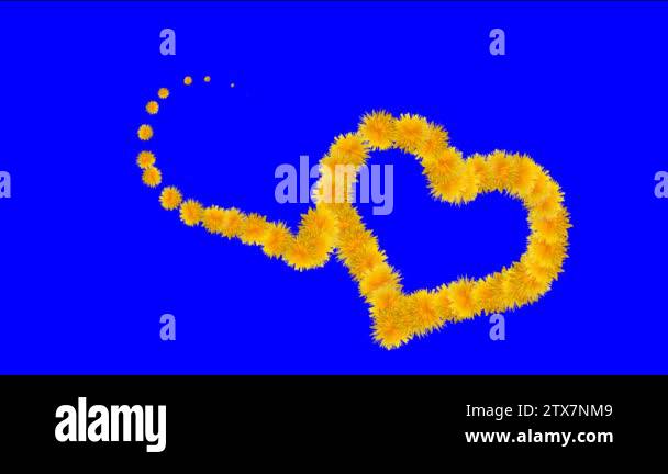 Hearts footage with chroma key. Footage for wedding video. Video ...