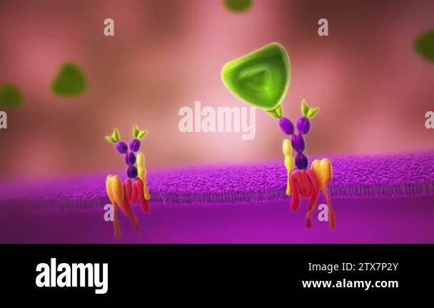 Woman inflammation cartoon Stock Videos & Footage - HD and 4K Video ...