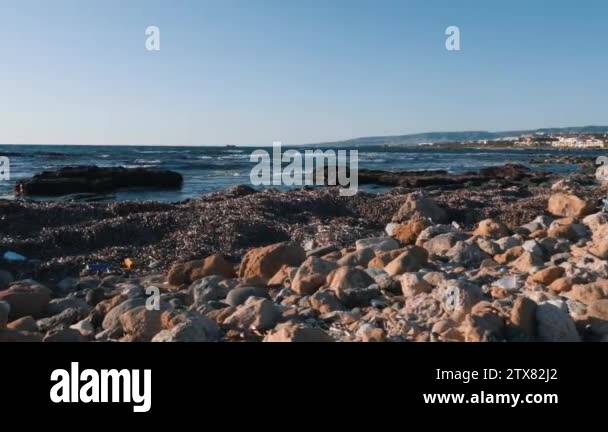 Water-washed algae on seashore. Aerial view of rocky beach with algae ...