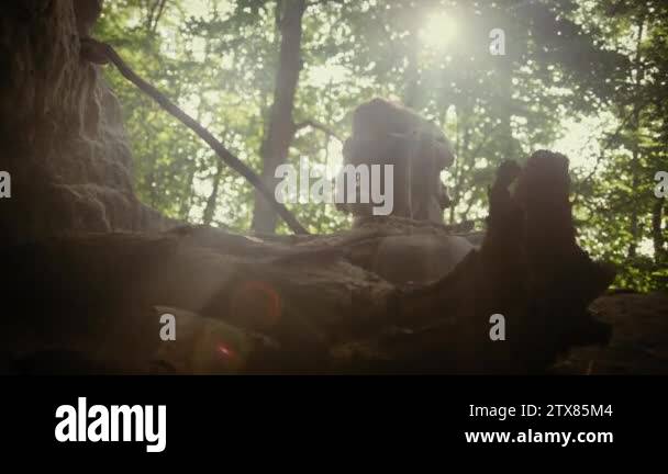 Silhouette of Primeval Caveman Wearing Animal Skin Trying to make a ...