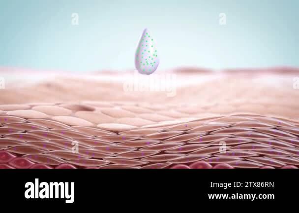 Lotion drops for dry skin. 3D Medical Animation representation of skin ...