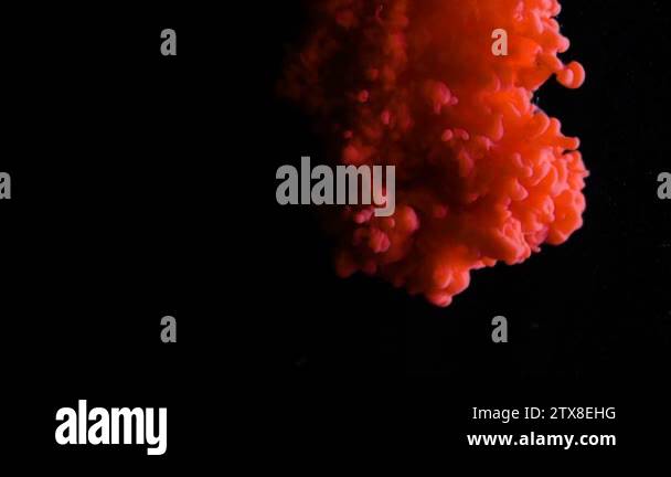 Real shot red paint drops in water in slow motion. Ink swirling ...