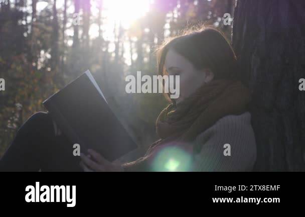 Reading the sun Stock Videos & Footage - HD and 4K Video Clips - Alamy