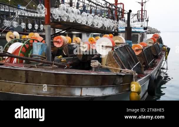 Korea squid Stock Videos & Footage - HD and 4K Video Clips - Alamy