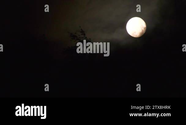 Swiftly flying clouds close and open the full moon and treetops under ...