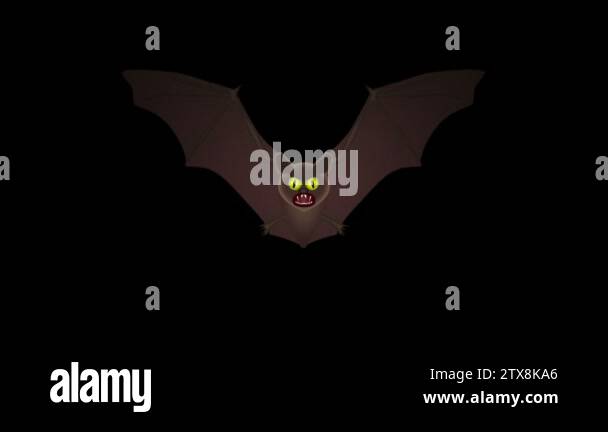 Vampire bat flying Stock Videos & Footage - HD and 4K Video Clips - Alamy
