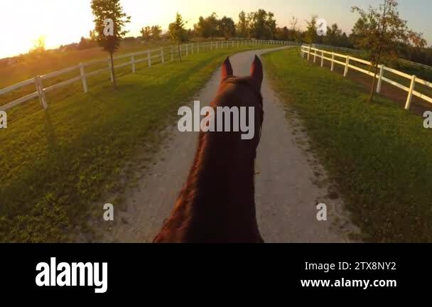 FPV, CLOSE UP: Magical and relaxing evening ride on horse ranch ...