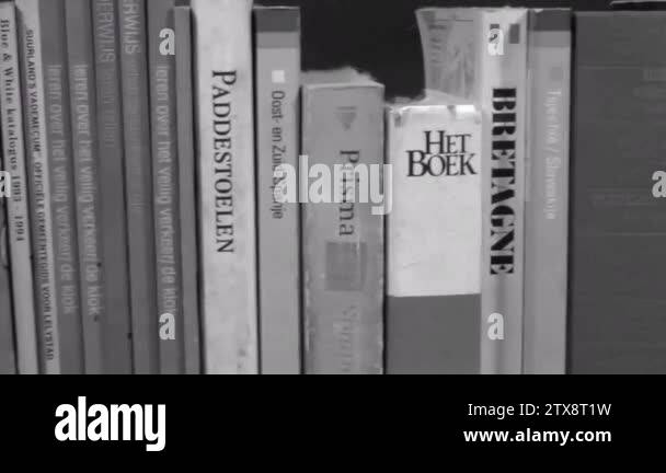 Books at a Stock Videos & Footage - HD and 4K Video Clips - Alamy