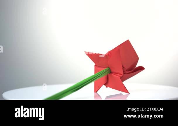 Origami red rose Stock Videos & Footage - HD and 4K Video Clips - Alamy