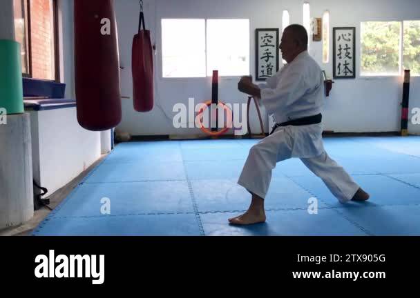 Karate man profile Stock Videos & Footage - HD and 4K Video Clips - Alamy