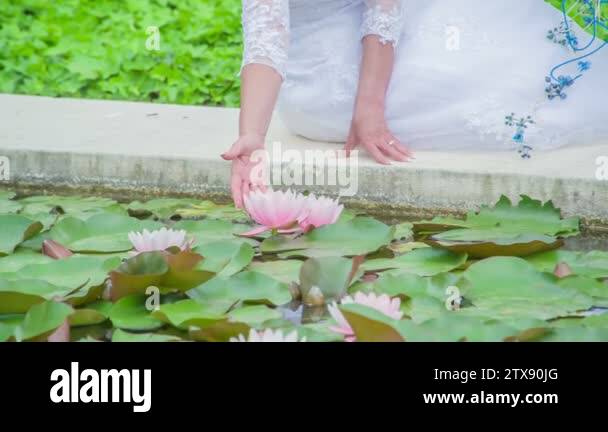 Hands holding water lily Stock Videos & Footage - HD and 4K Video Clips ...
