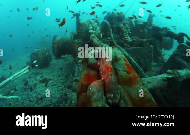 Bow shipwreck depth fish Stock Videos & Footage - HD and 4K Video Clips ...
