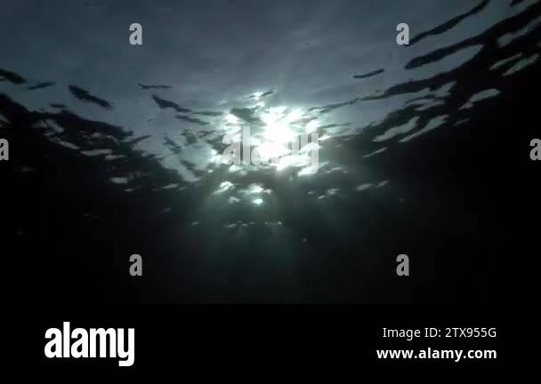 The surface of the water and the rays sunlight on sunset in the blue ...